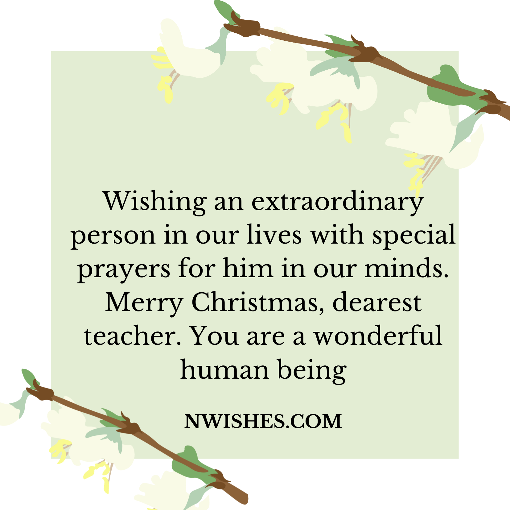 Christmas Wishes from Students to Teachers: Heartfelt Appreciation