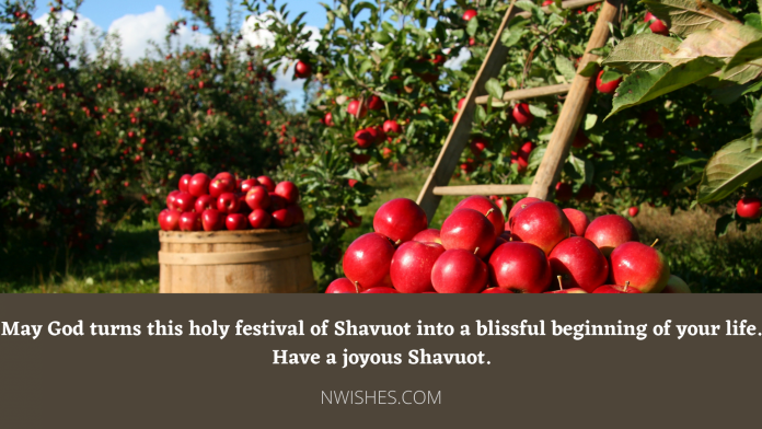 10 Heartwarming Shavuot Wishes, Messages, and Greetings for Loved Ones
