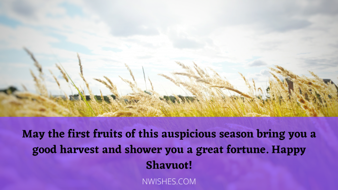 10 Heartwarming Shavuot Wishes, Messages, and Greetings for Loved Ones