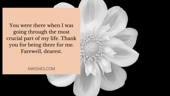 Best Farewell Wishes, Messages, and Quotes: Inspiring Words to Say Goodbye