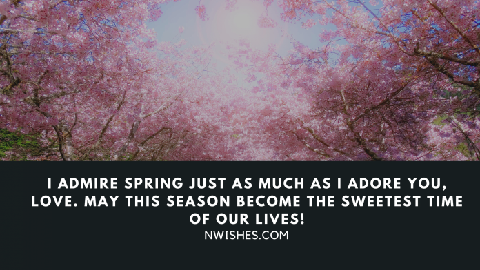 Spring Wishes: Joyful Messages & Greetings