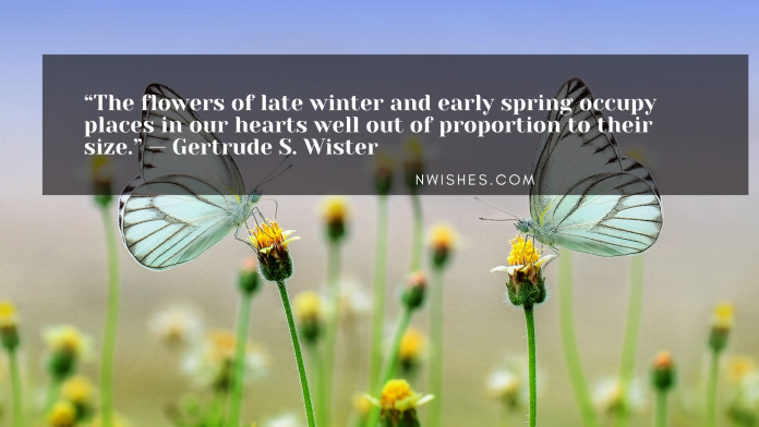 Spring Wishes: Joyful Messages & Greetings