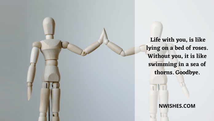 Farewell Expressions: Heartfelt Goodbye Messages for Your Husband