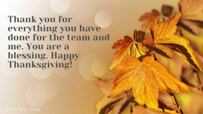 Thanksgiving Messages for Colleagues: Spread Gratitude at Work!