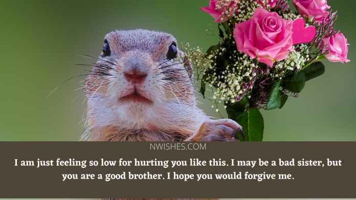 Apology Messages for Brother: Repair Bonds with Love