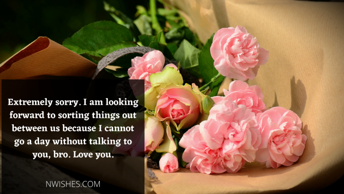 Apology Messages for Brother: Repair Bonds with Love