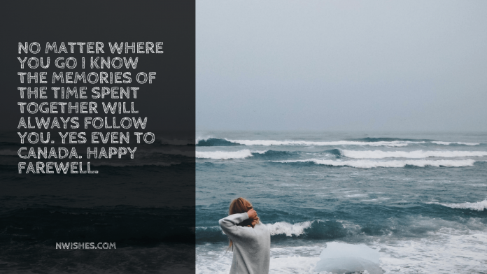 Emotional Farewell Messages: Wishing a Friend Bon Voyage Abroad